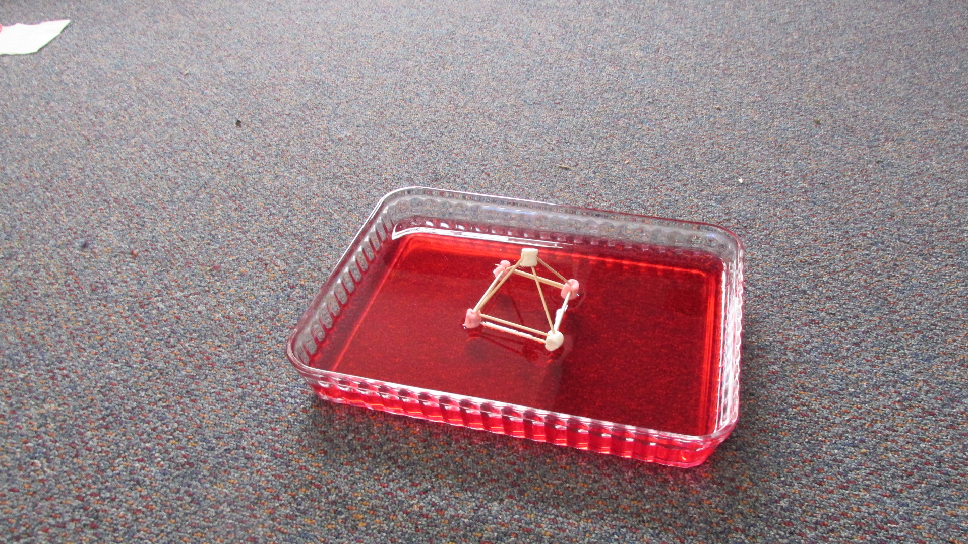 Earthquake Jelly Activity | Glenbrook School