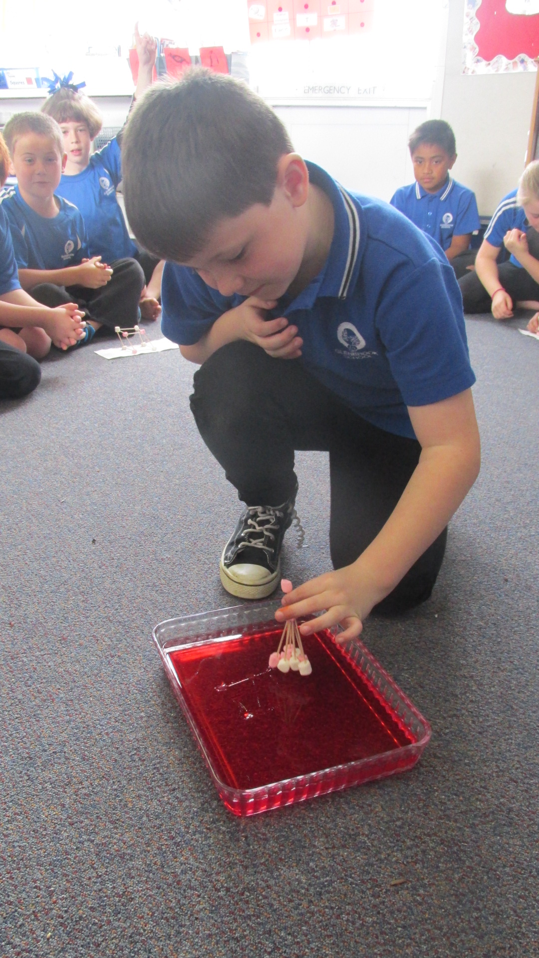 Earthquake Jelly Activity | Glenbrook School
