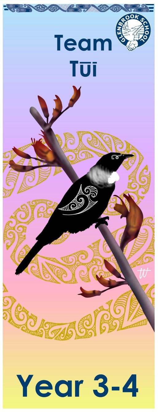 Team Tui | Glenbrook School