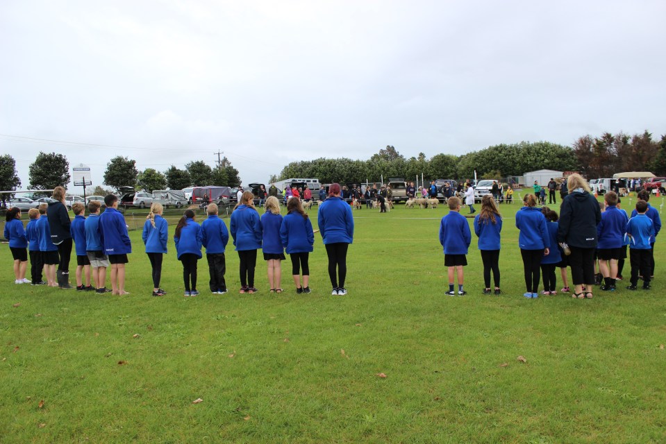 Calf Club 2020 – Calves, Lambs & Goats | Glenbrook School