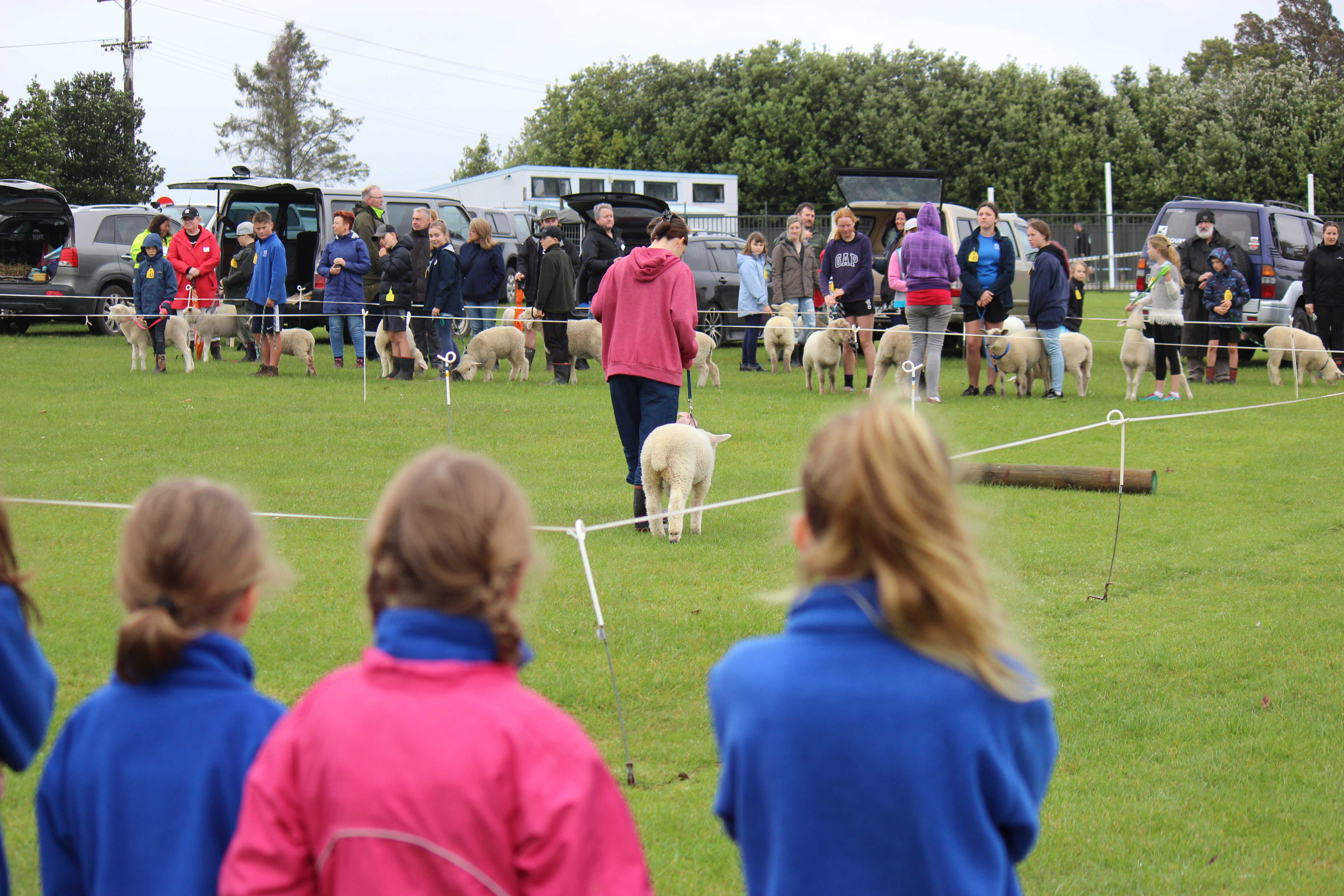 Calf Club 2021 | Glenbrook School